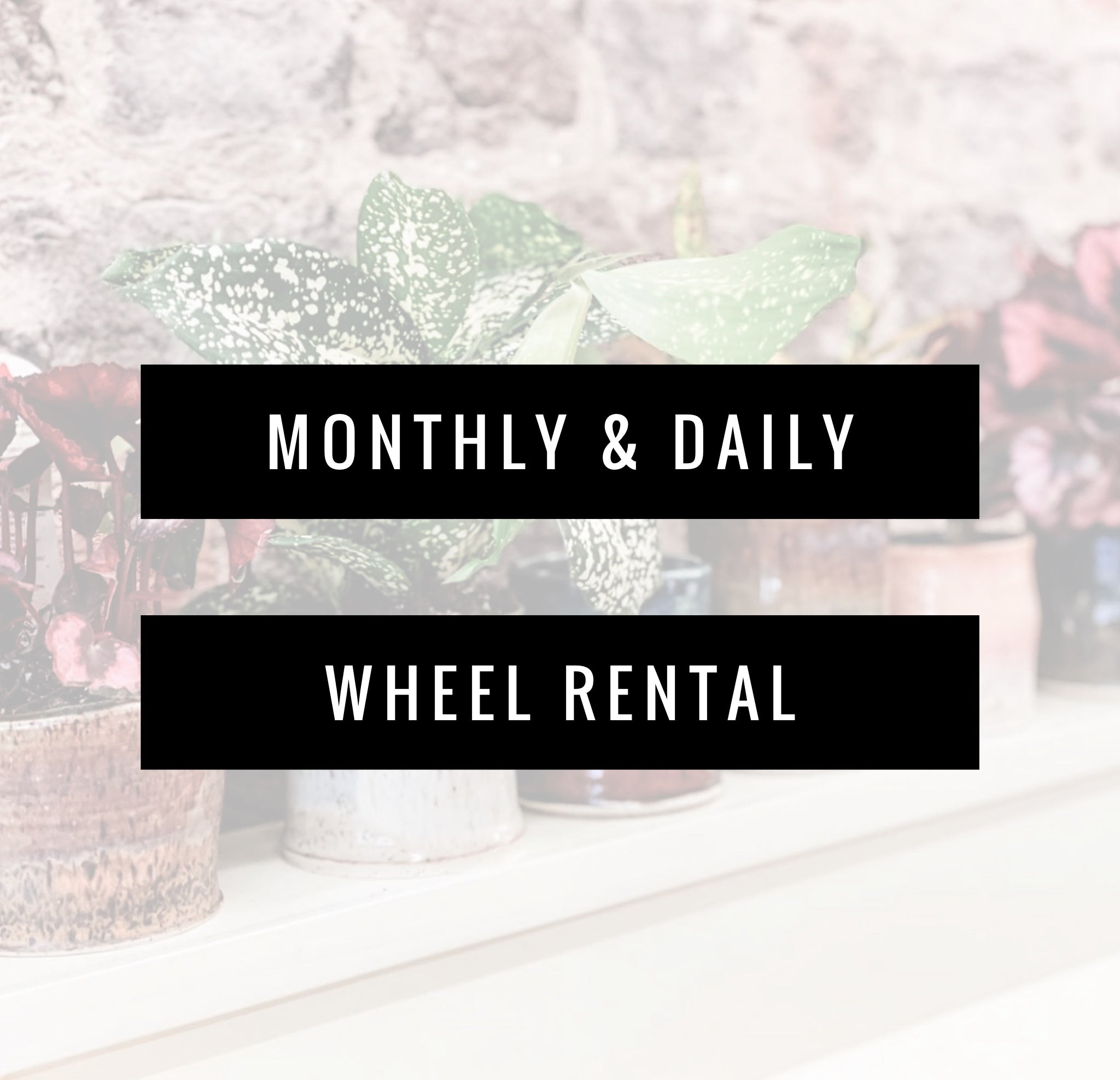 Classes & Events – Pink Pig Pottery Studio